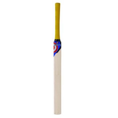 Hunts County Coaching/ Technique Bat : Kent Cricket Direct